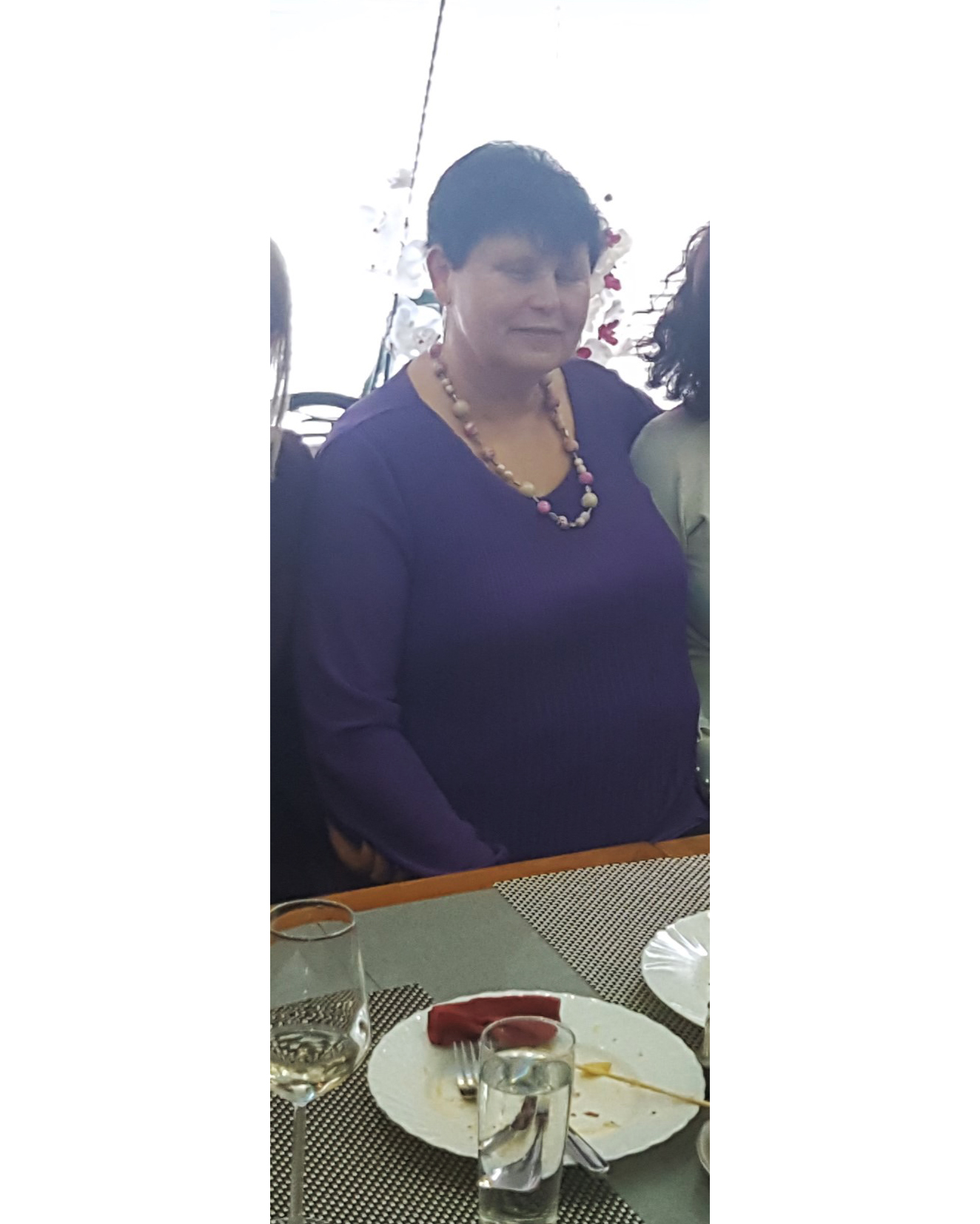 Blaženka Čujež - Linea Snella