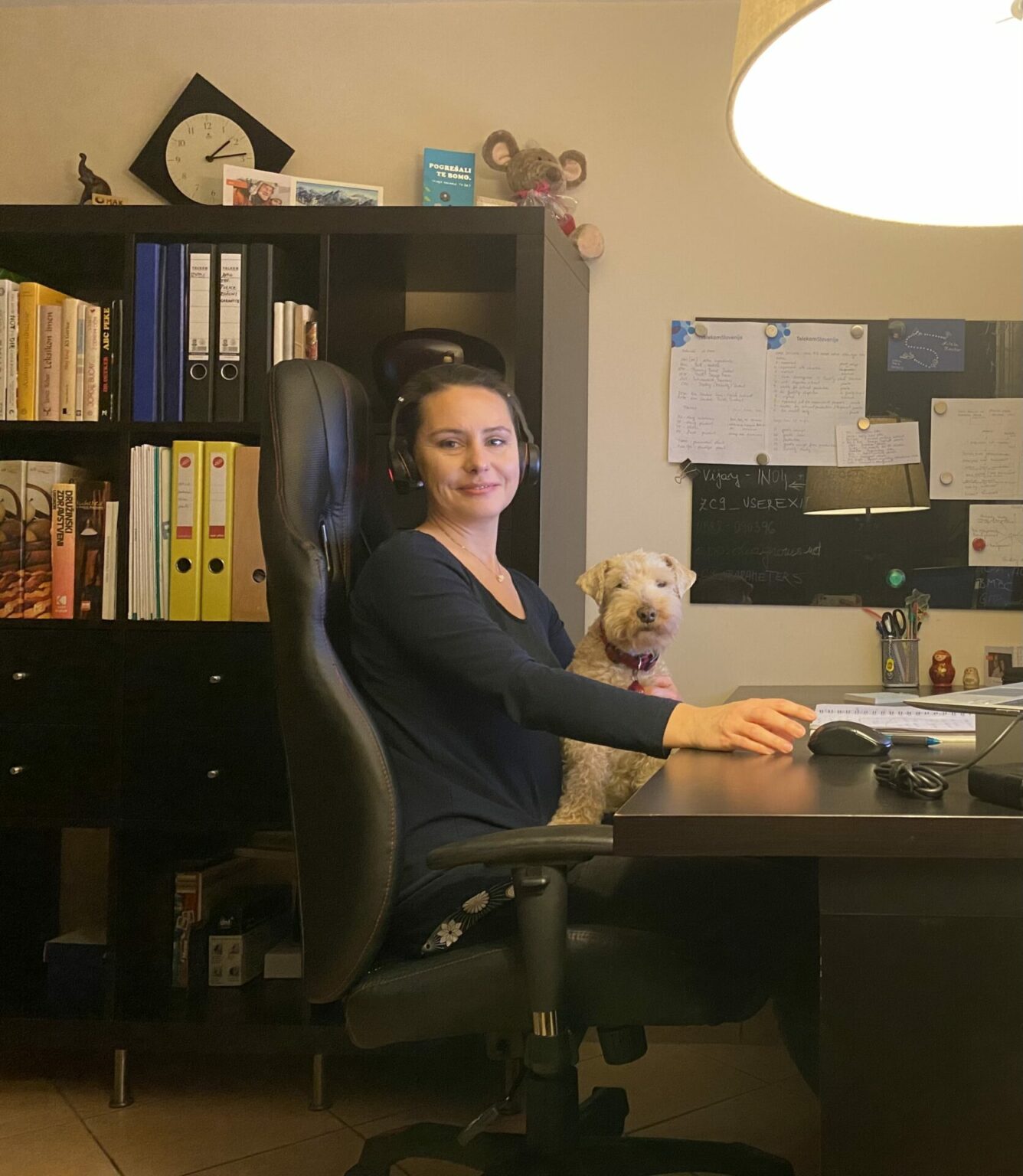 Nataša Krenker - Linea Snella